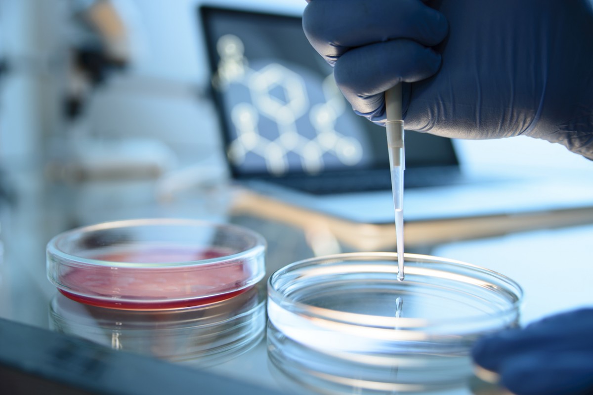 Cancer Drugs Biomedical Odyssey