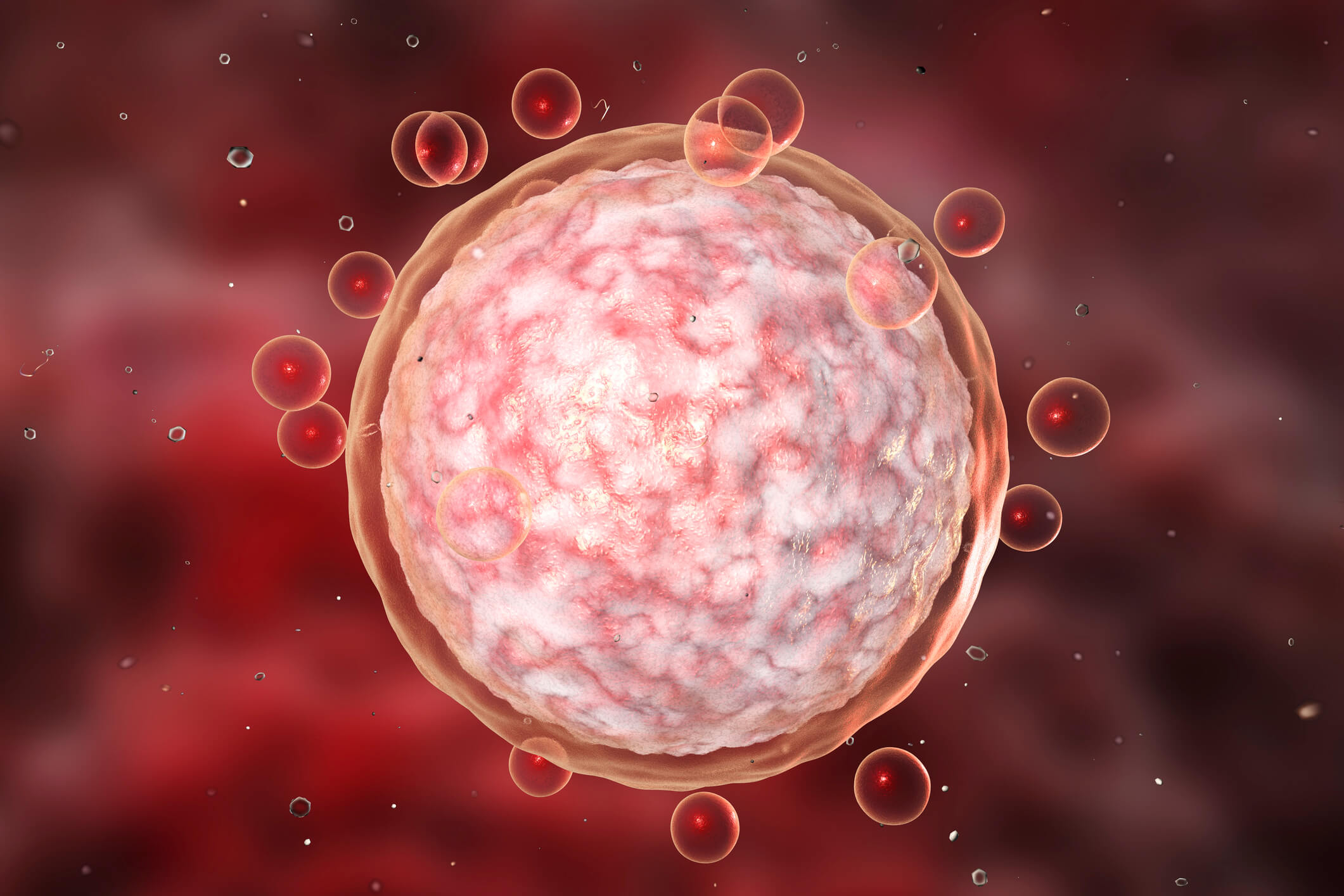 Putting a Freeze on IVF | Biomedical Odyssey