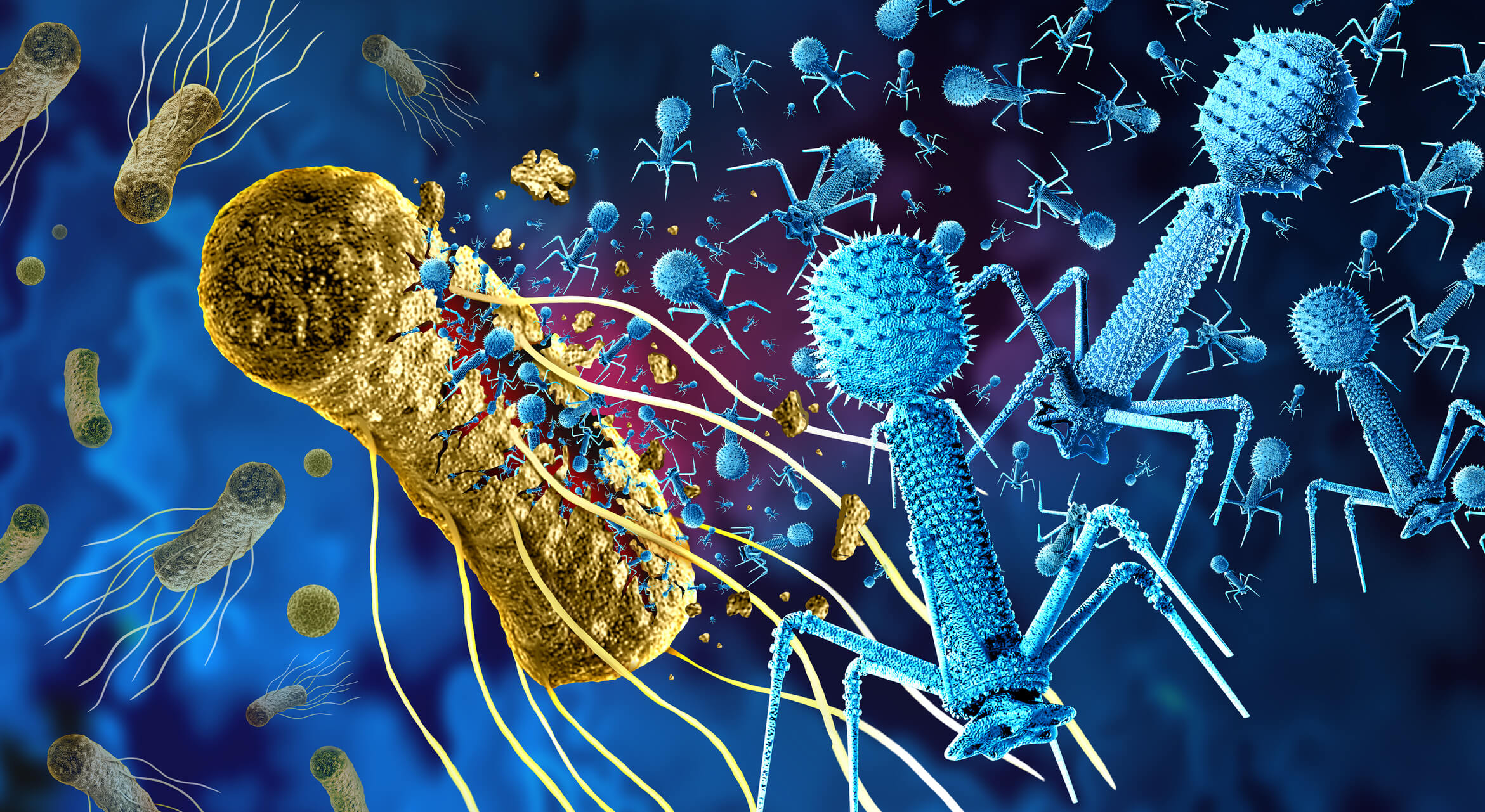A Viral Solution to Antibiotics Weakness | Biomedical Odyssey